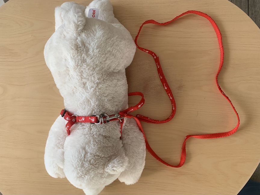 Шлейка для кошки