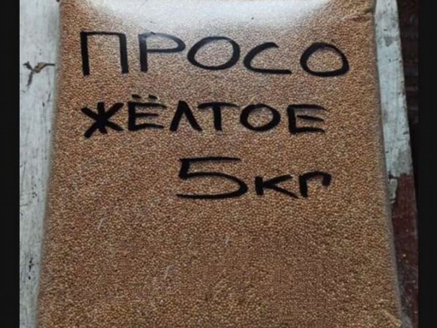 Просо желтое 5 кг на Софийской 93