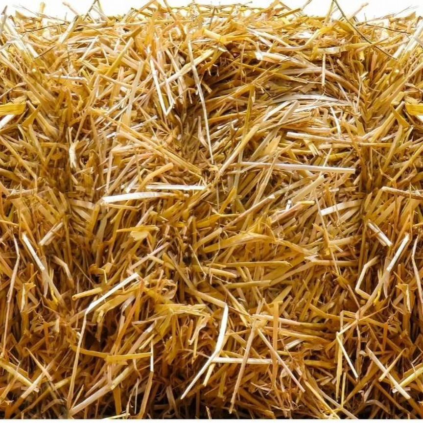 Сено солома в тюках