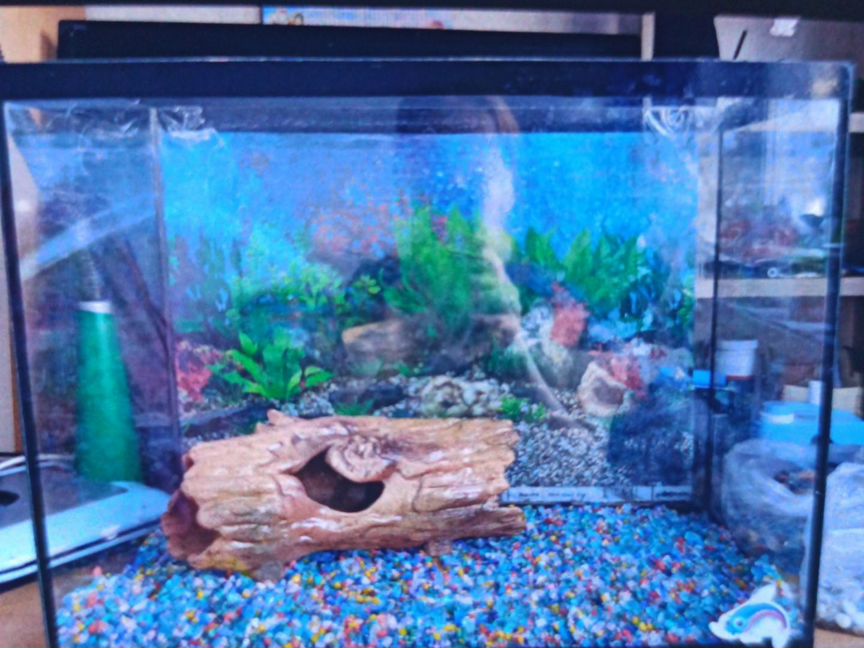 Аквариум