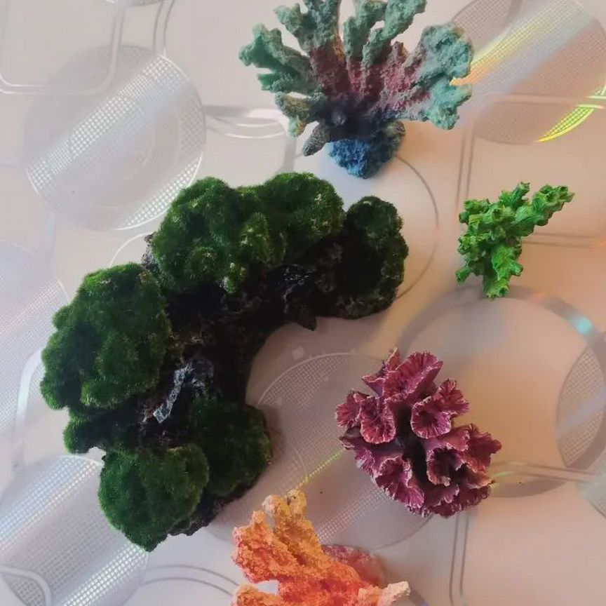 Кораллы для аквариума