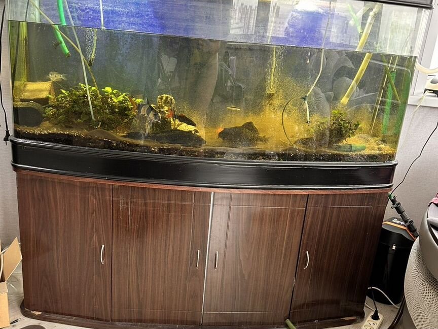 Аквариум 560л