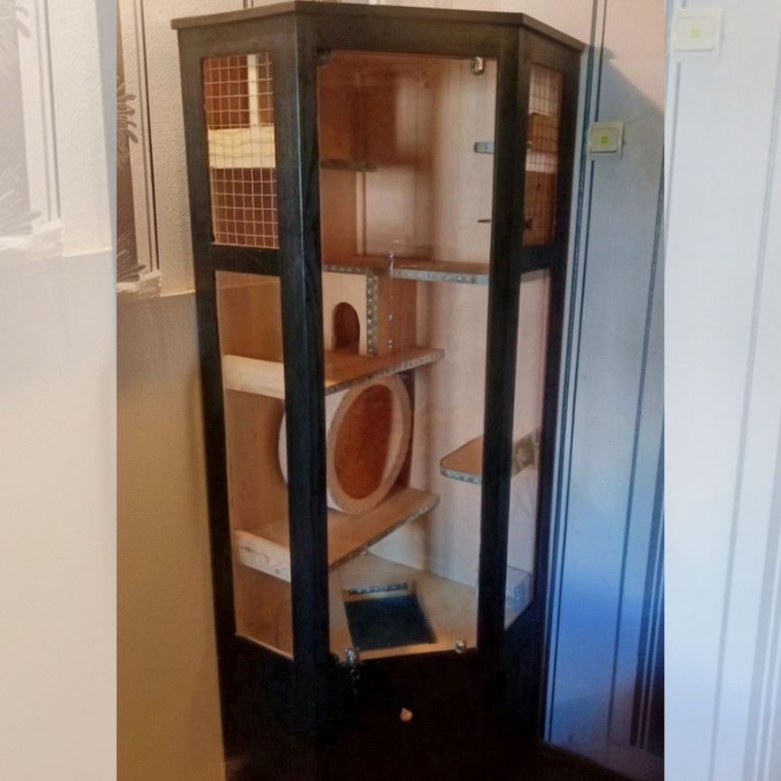 Витрина для Шиншиллы