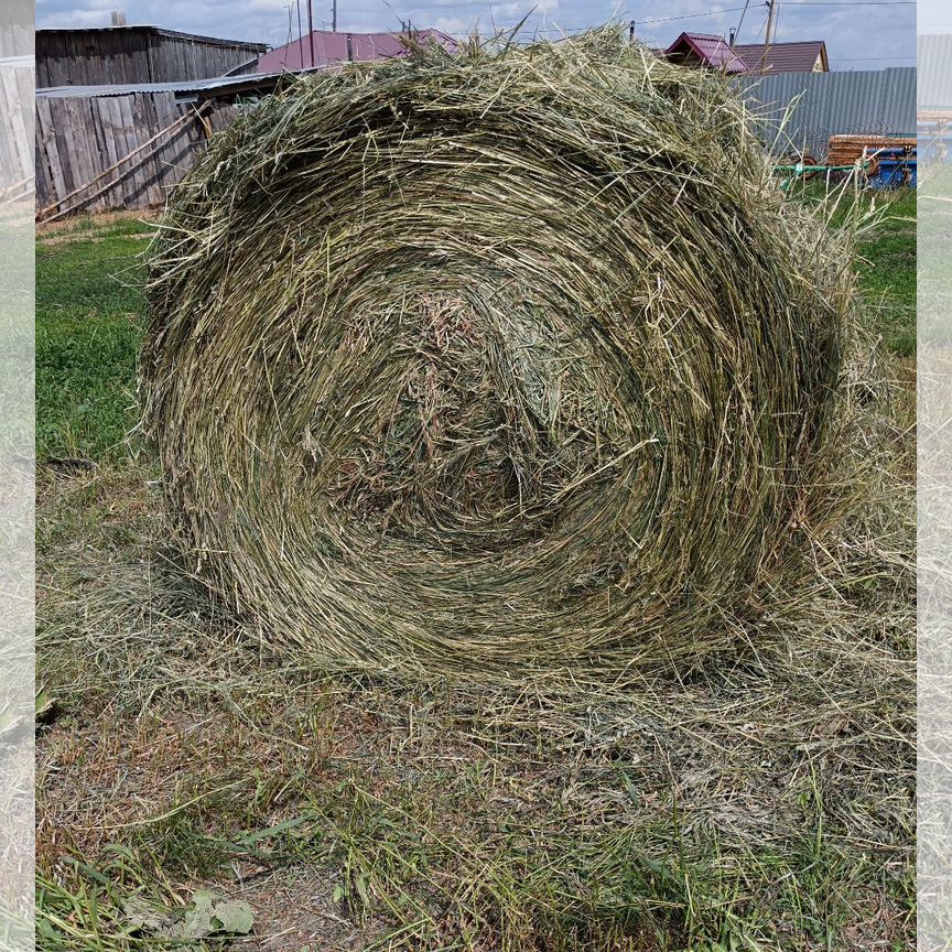Сено в рулонах