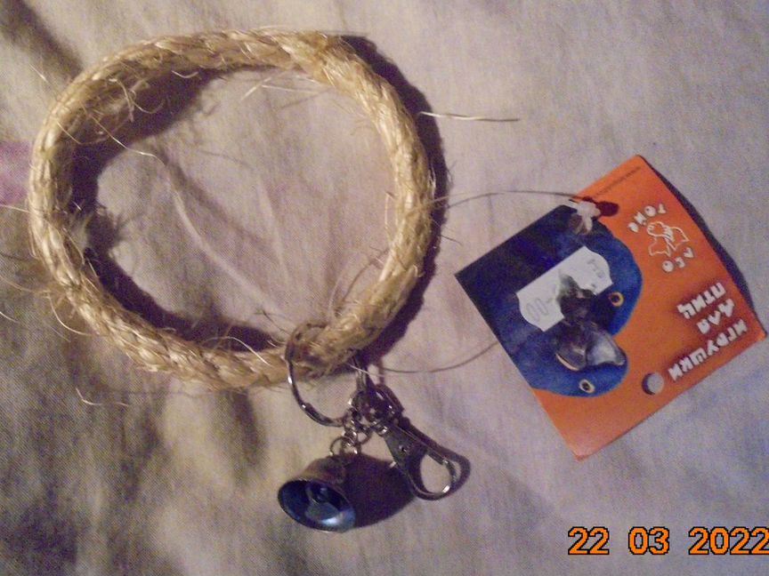 Кольцо для попугая