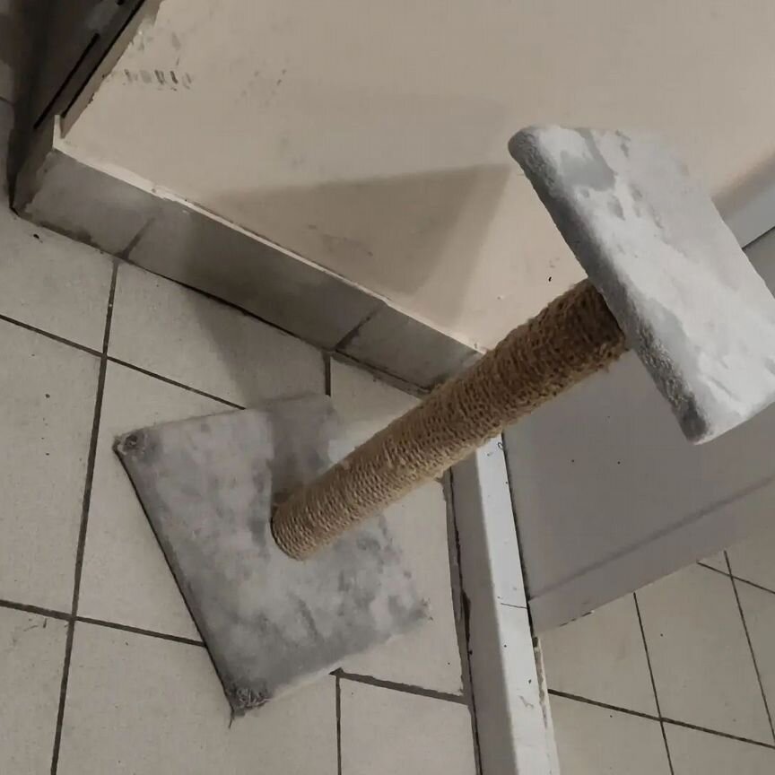 Когтеточка