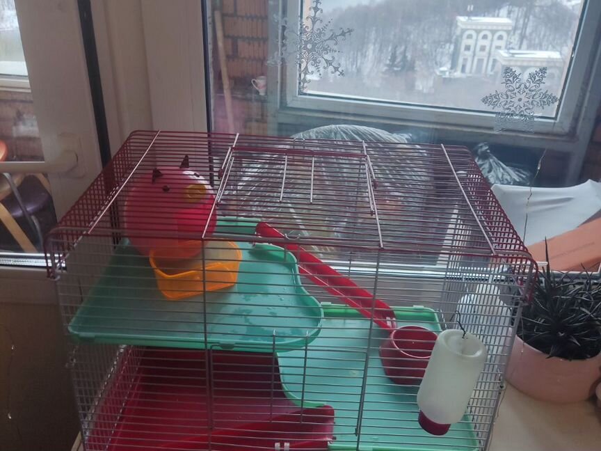 Клетка для грызунов