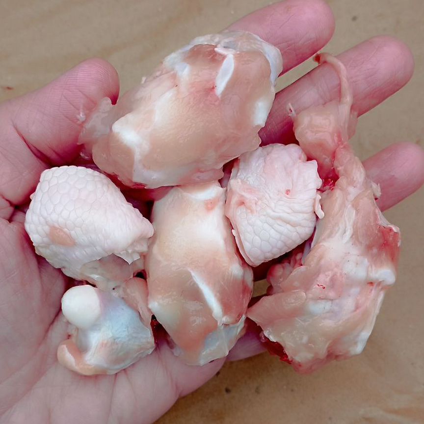 Корм для животных