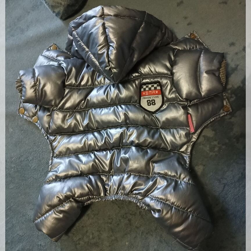 Одежда для собак