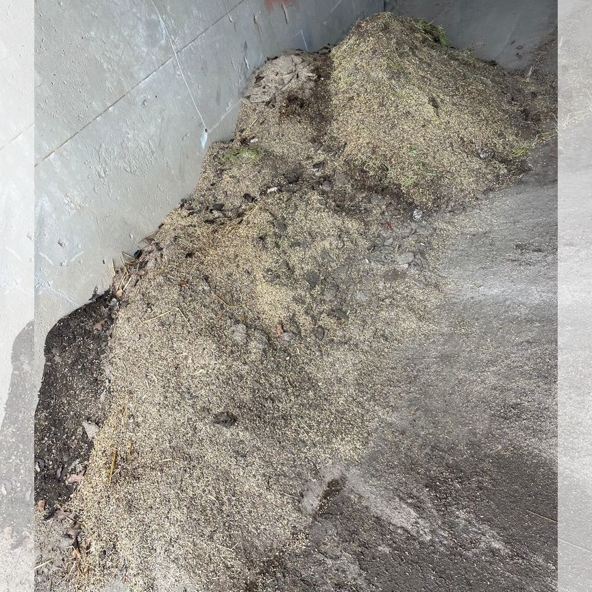 Ячмень отходы