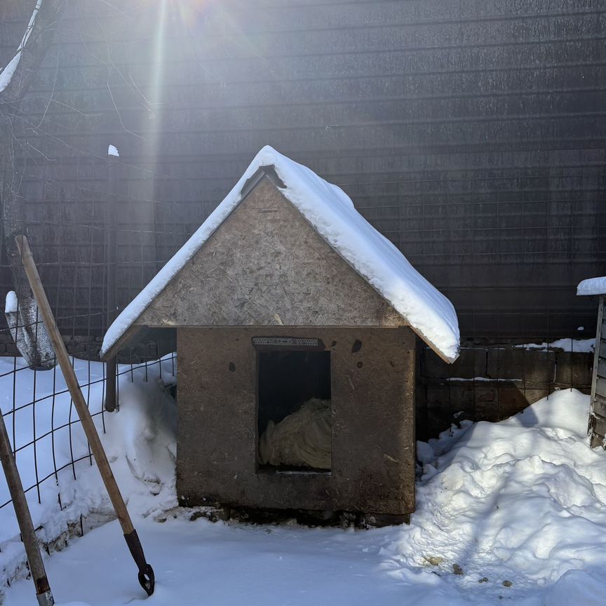 Будка для собаки