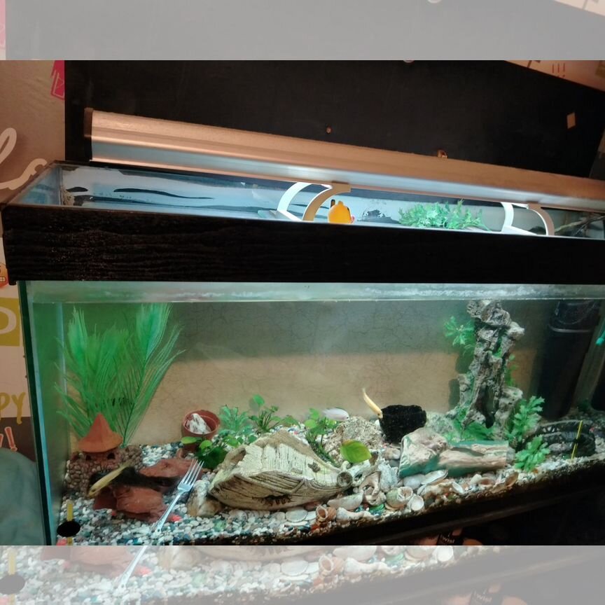 Аквариум с тумбой