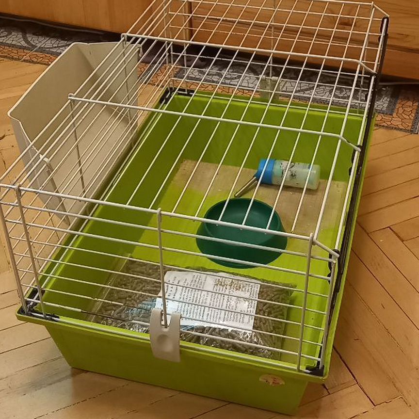 Все для морской свинки