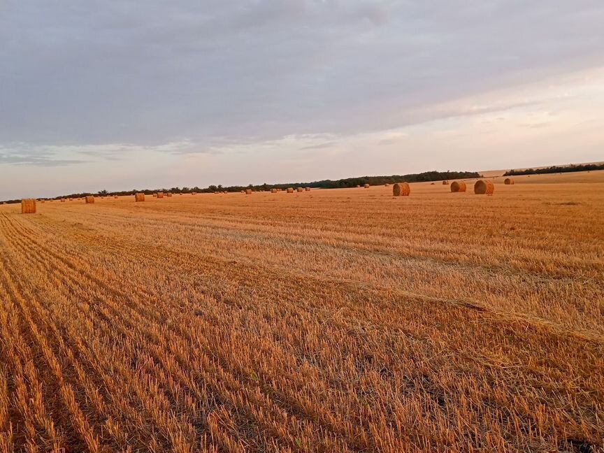 Продается солома