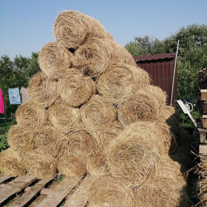 Сено в тюках