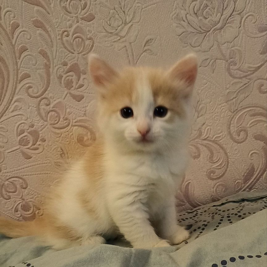 Замечательная девочка