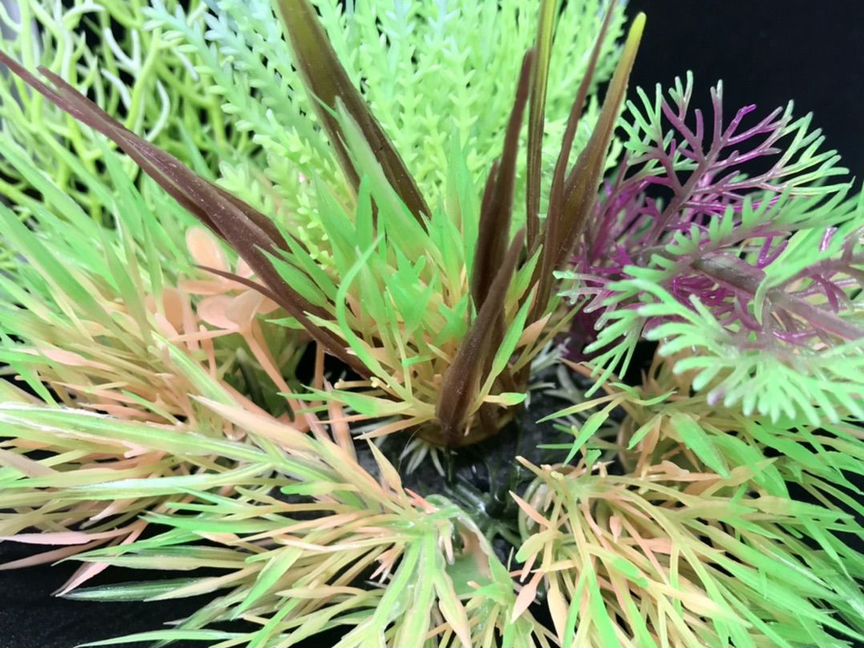 Набор для аквариума и рыбок, 5 предметов