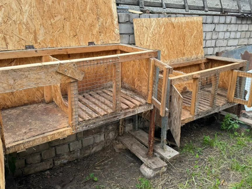 Клетки для кроликов