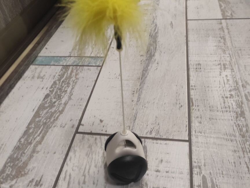 Игрушки для животных