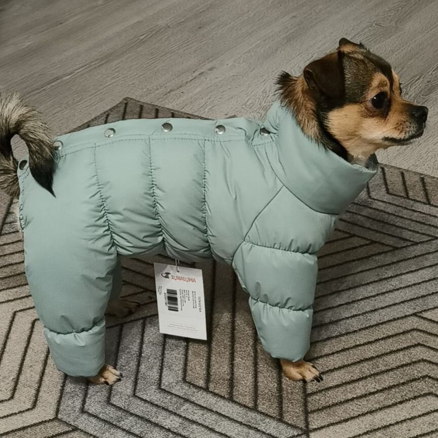 Одежда для маленьких собак