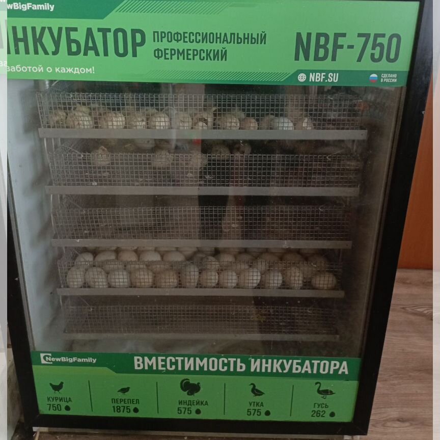 Профессиональный инкубатор для любой птицы