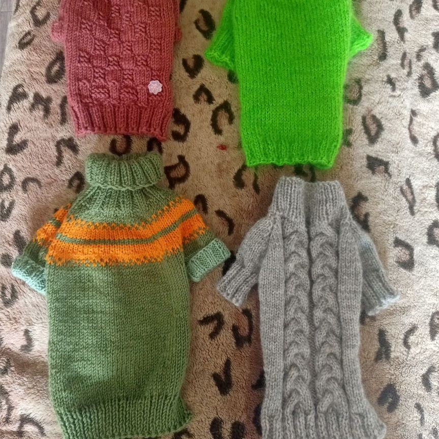 Наряды свитера для собак