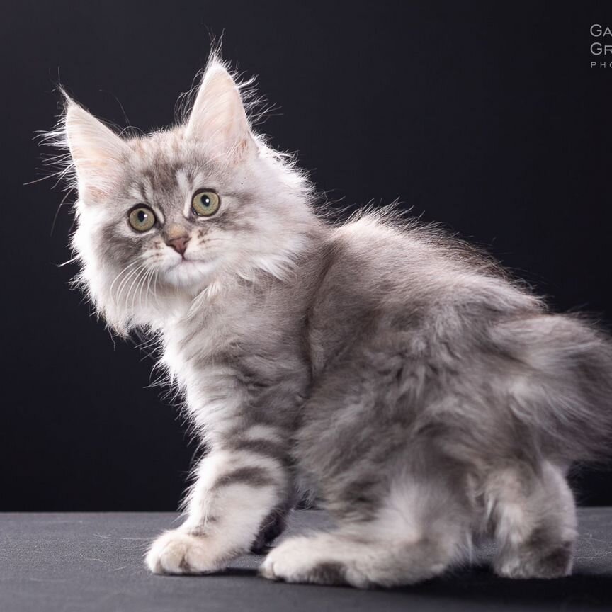 Дива Дивная