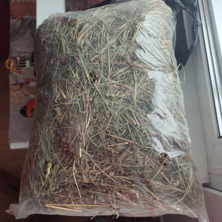 Сено для грызунов