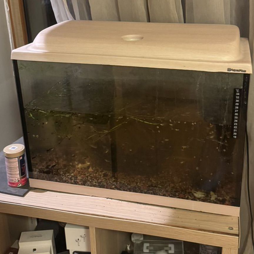 Отдам аквариум с рыбками