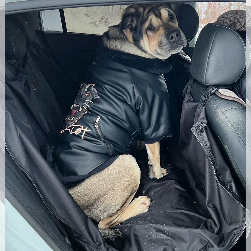 Автогамак для собак новый pet bed