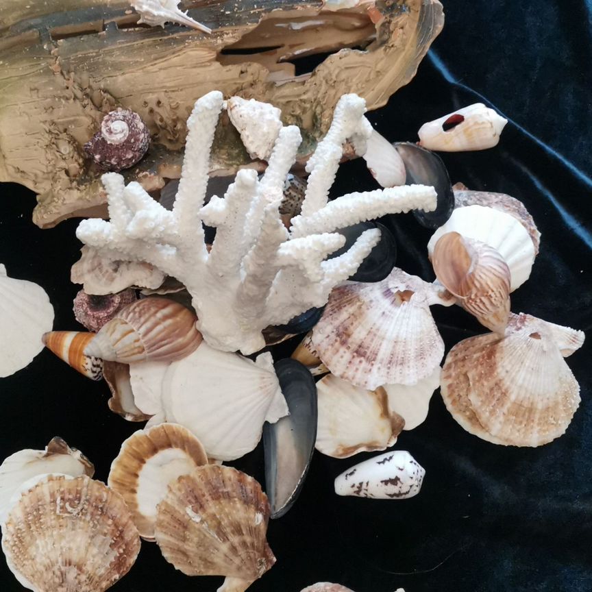 Наполнение для аквариума