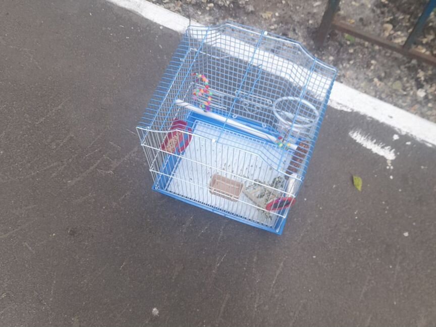 Клетка для птичек