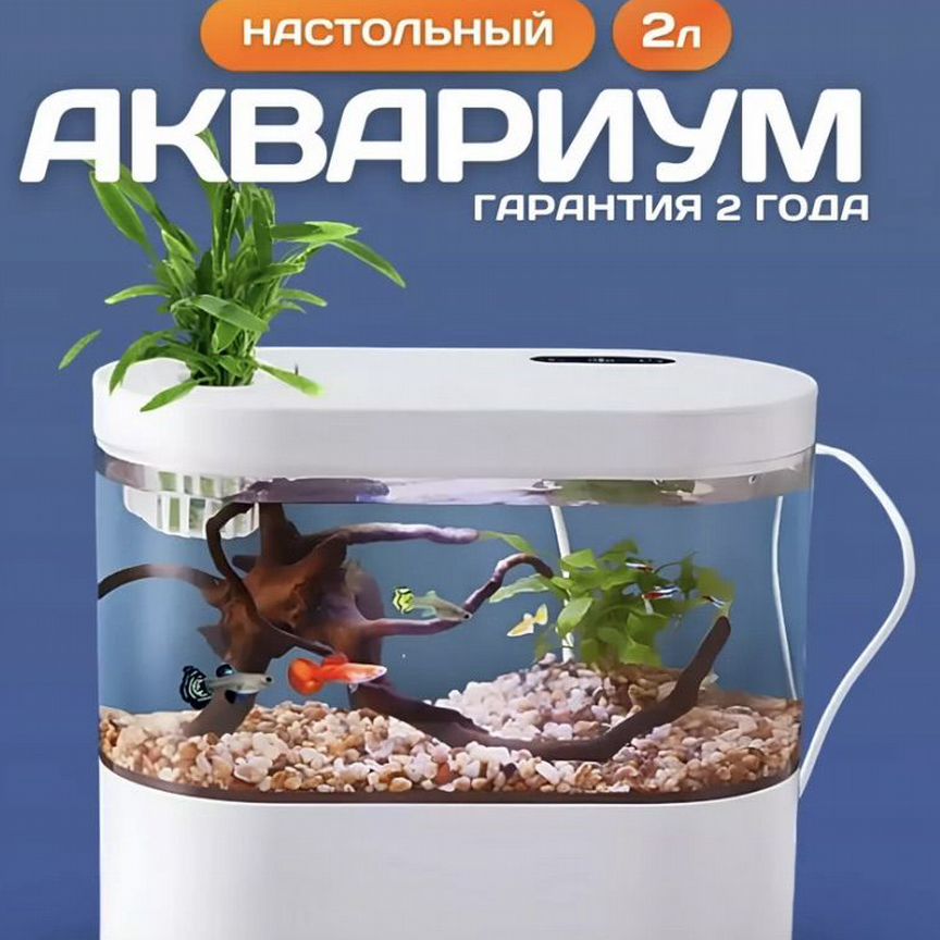 Аквариум