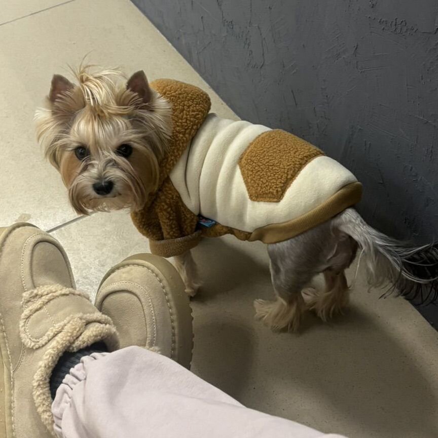 Куртка для маленькой собаки