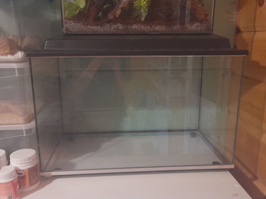 Террариум/флорариум