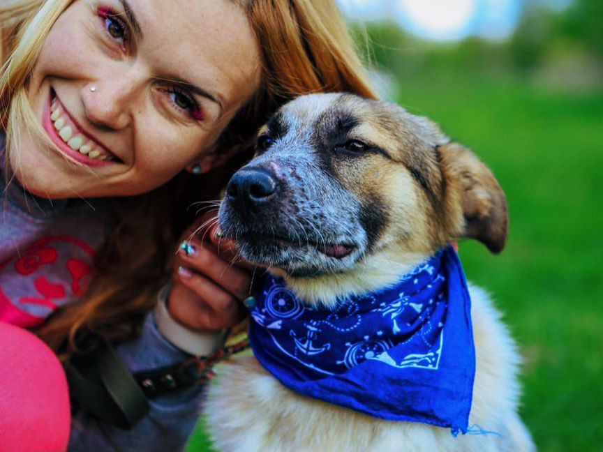 Собака из приюта ищет дом