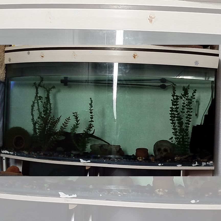 Аквариум 600 литров с тумбой