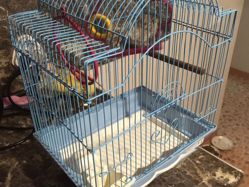 Клетка для волнистого попугая