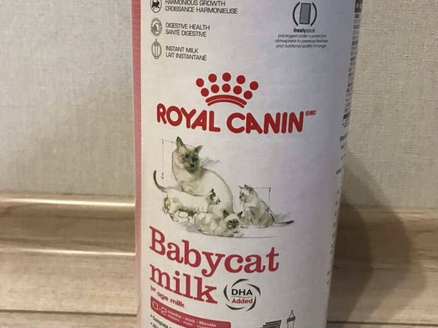 Молочная смесь для котят