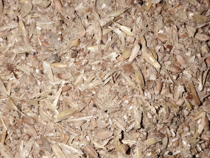 Пшеничные отходы