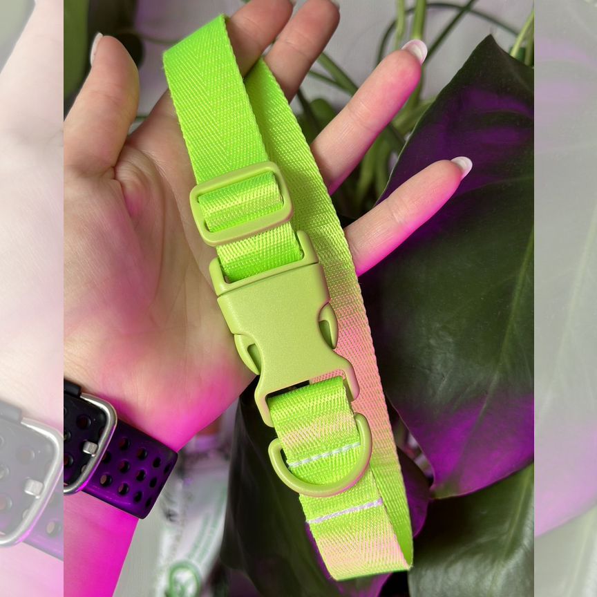 Ошейник для собак