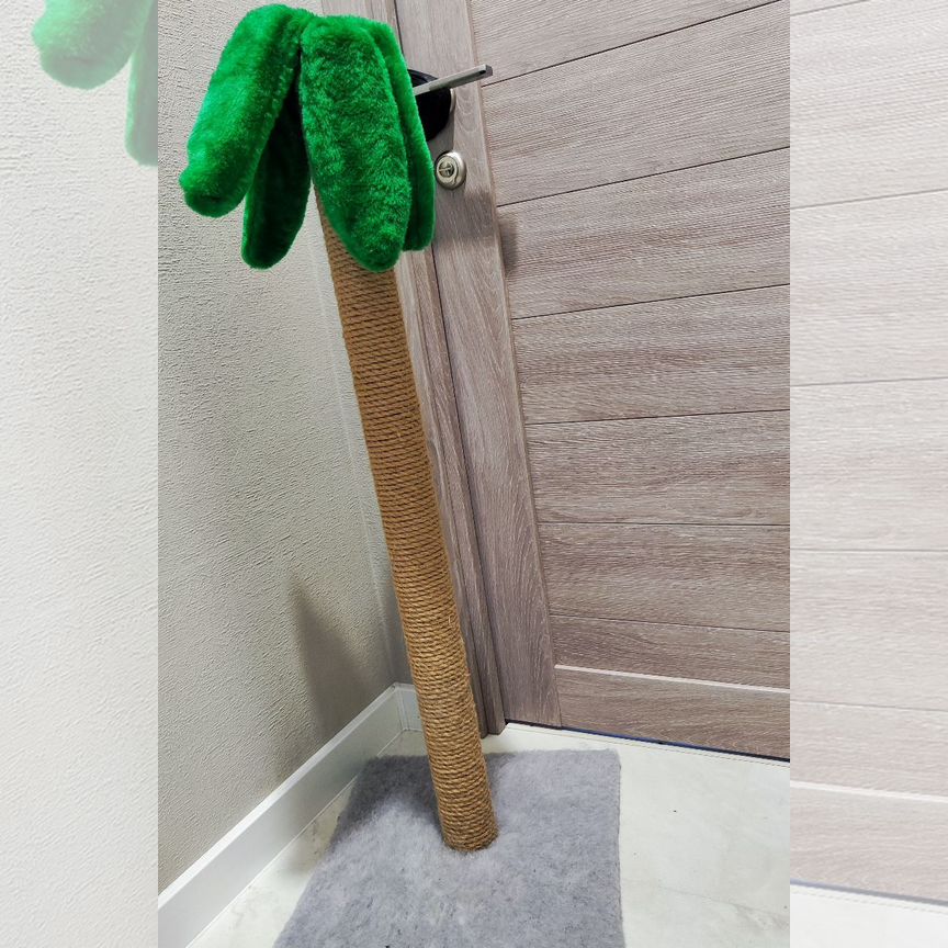 Когтеточка