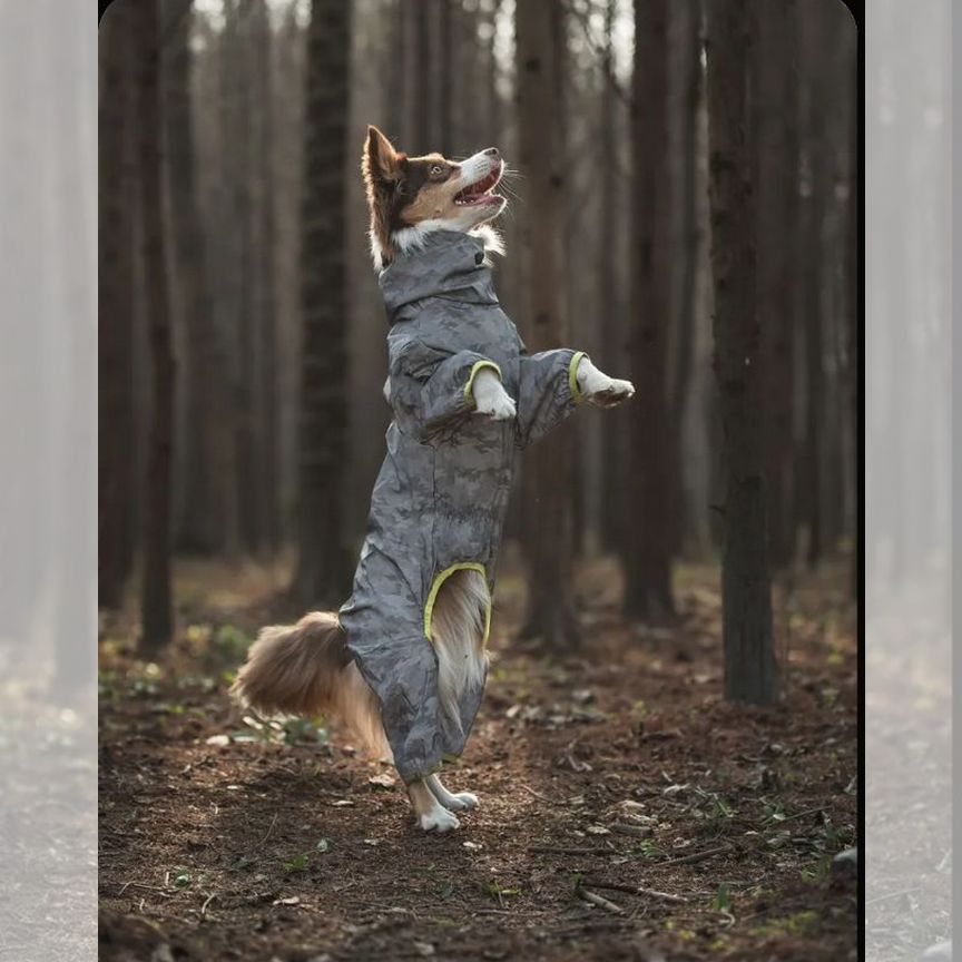 Дождевик для собак размер 6хл,светоотражающий