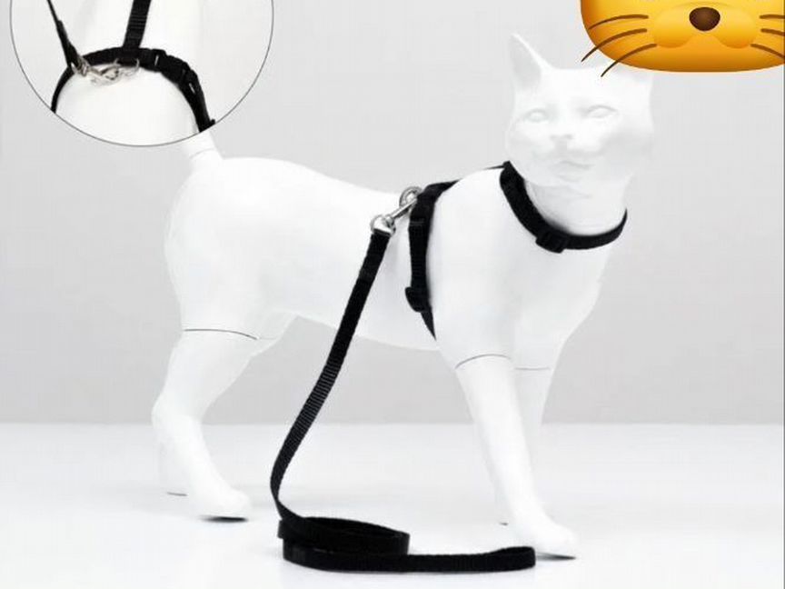 Шлейка и поводок для кошек