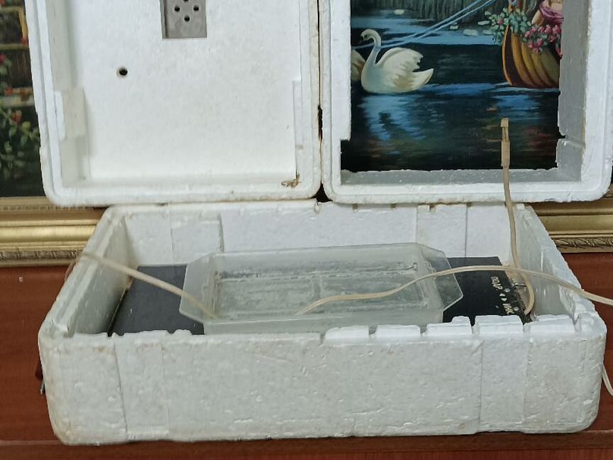 Инкубатор бу. Клуша