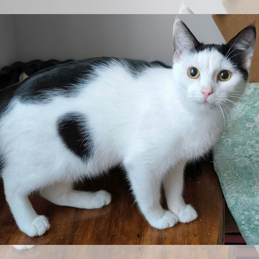 Беленький мальчик в черной шапочке 6 мес