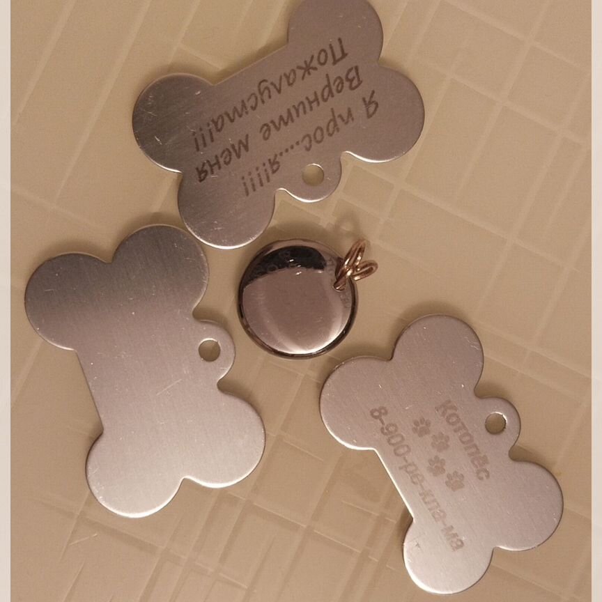 Адресник для кошки и собаки