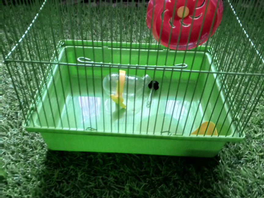 Клетка для грызунов
