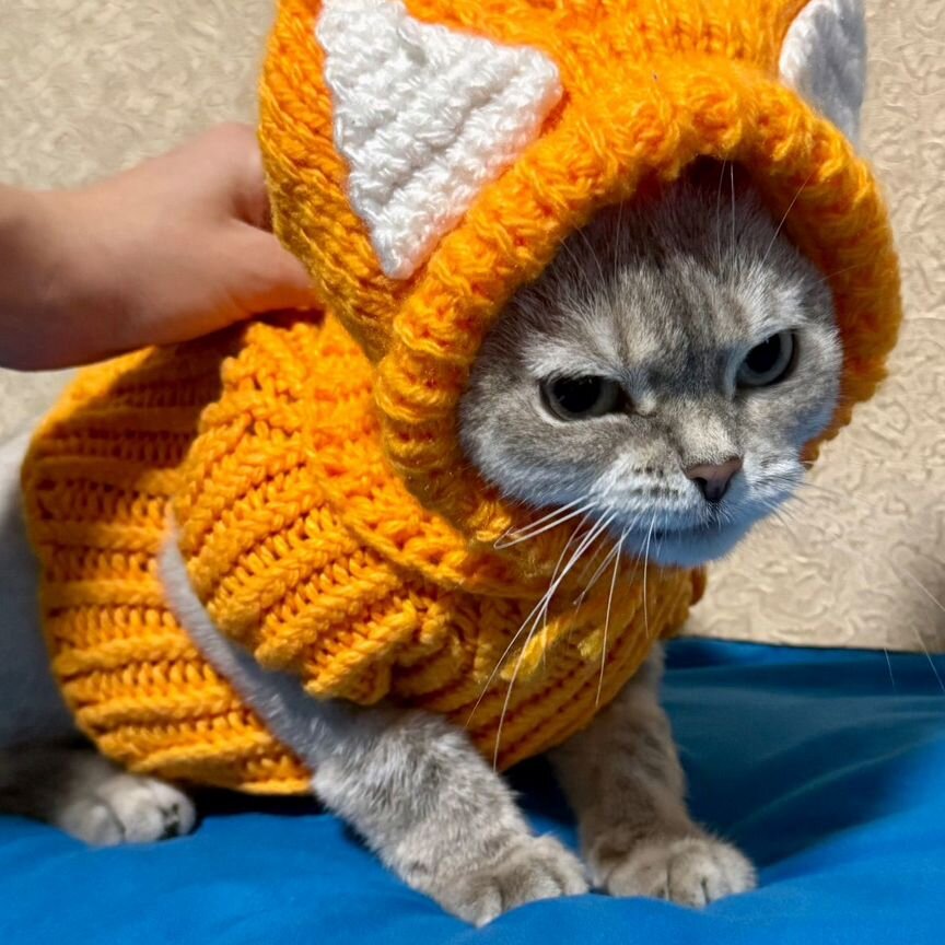 Костюм для кошки / собаки вязаный