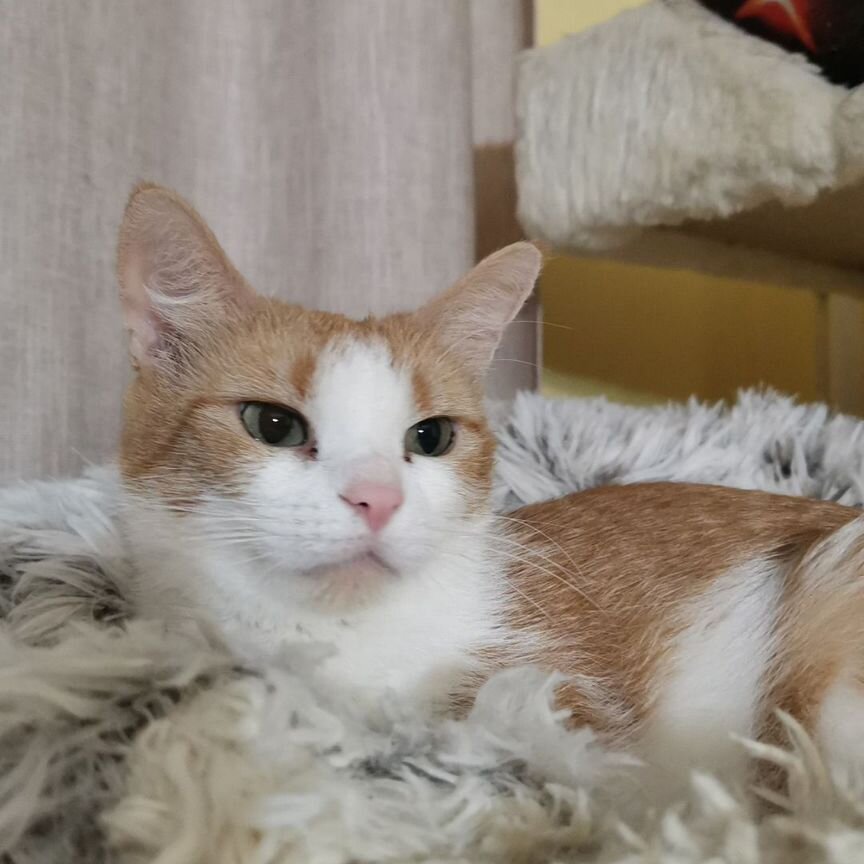 Миниатюрная девочка